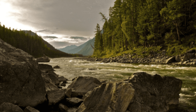 The Complete Guide to Measuring Turbidity in Water - Hanna Instruments ...