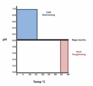 Monitoring pH during Meat Processing - Hanna Instruments Australia